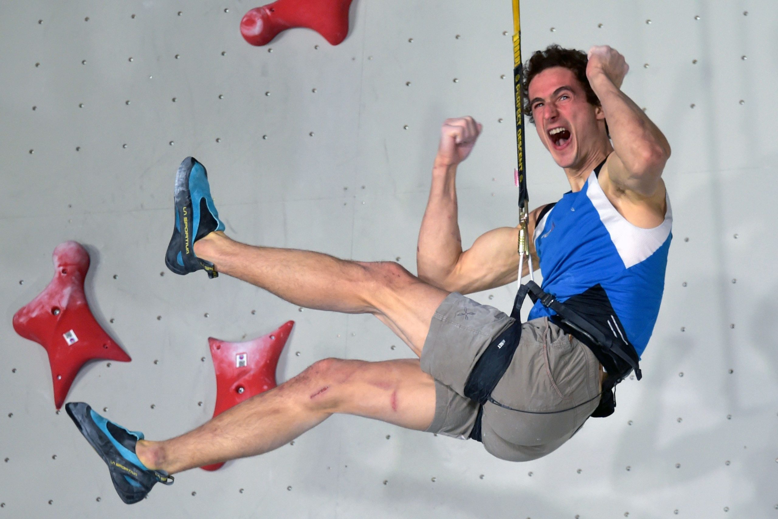 Best Olympic Sport Climbing Athletes - Athlete Nonstop